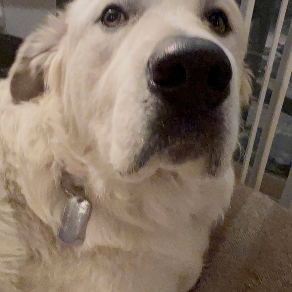 10 Ten Commandments Abbreviated Stamped Dog Tag Necklace - Etsy