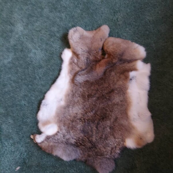 Lot of 4 Assorted Rabbit Hides as Shown Natural Rabbit Fur No. 180228 ...