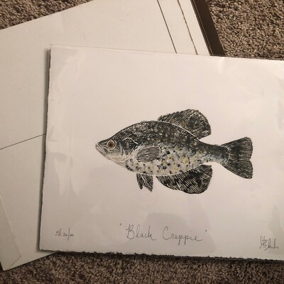 Freshwater Fish Print - Etsy