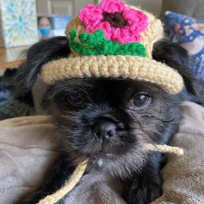 Pink Flower Summer Hat Cat Hats Cat Costumes Cat Accessories - Etsy