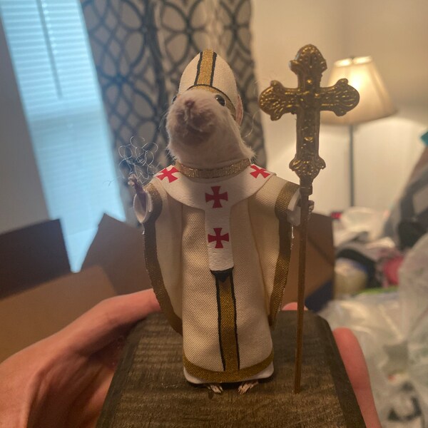 Taxidermy Mouse Pope Francis - Etsy UK