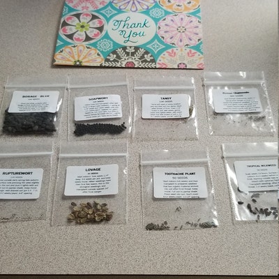 Toothache Plant 50 Seeds Heirloom Herb, Buzz Buttons, Peek-a-boo ...