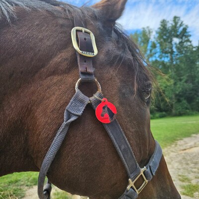 Equestrian Horse ID Tag Personalised Horse Bridle Tag Horse Gift Equine ...