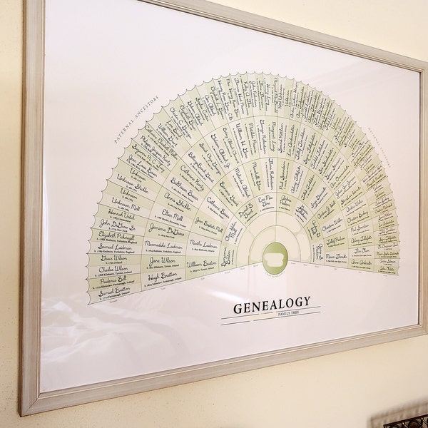 Genealogy Fan Chart — Adobe Illustrator Template - Etsy