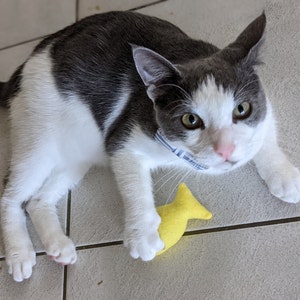 Custom Fish CAT Toy, Personalized Handmade Cat Toy Vegan Cat Toy Gift ...