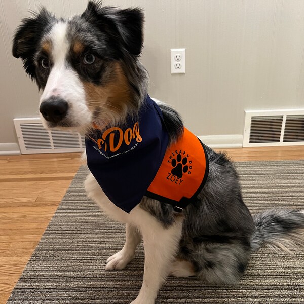 Emotional Support Cat Vest - Etsy