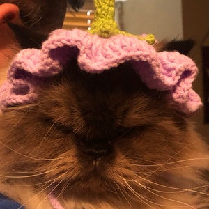 Flower Hat Crochet Hat for Cat or Small Dog Crochet Eggplant Hat ...