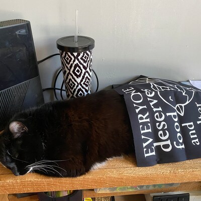 Rent is Theft Cloth Patch - Etsy