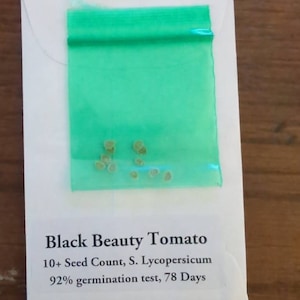 Bernary's Giant Coral Zinnia Bouquet Flower Premium Seed - Etsy