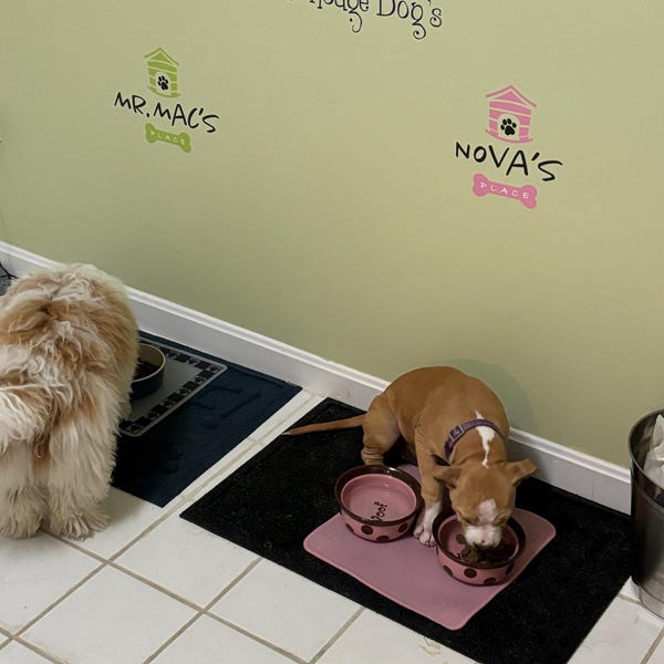 Football Graffiti Name Removable Wall Decal Art Sports Large Sticker ...