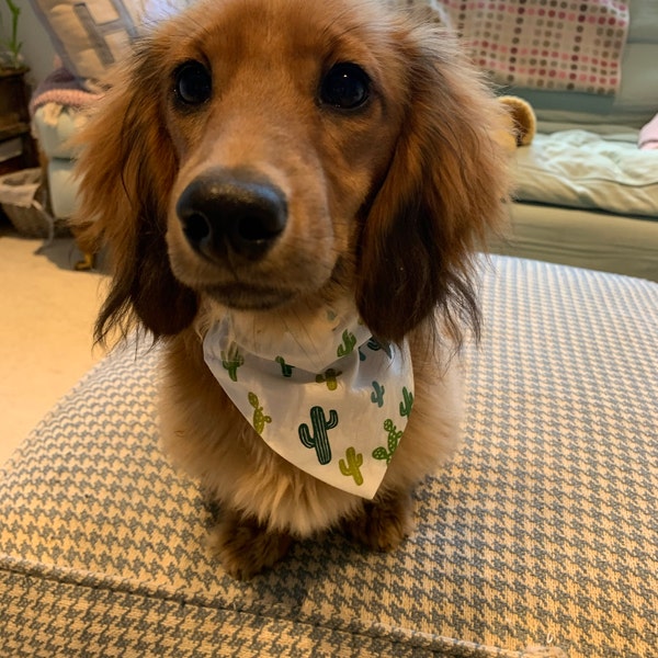 Pilates Journal Tracker Printable Pilates Planner Fitness Plan Tracker ...