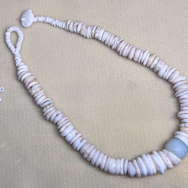 Arrowhead Sand Dollar Shell Extra Large Encope Michelini (1 Shell ...