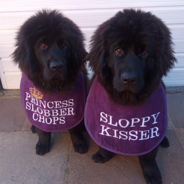 Big Dog Slobber Bibs Assorted Designs - Etsy