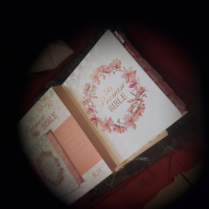 Journaling Bibles Pink Journaling Bible Creative Journaling Bible Gift ...