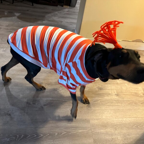 Korean Gat Hat, Korean Traditional Headpiece, Beads Chains, Cute Hanbok ...