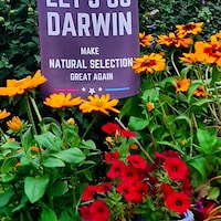 Daddy and Me Big Dipper and Little Dipper Shirts, Great for Father's ...