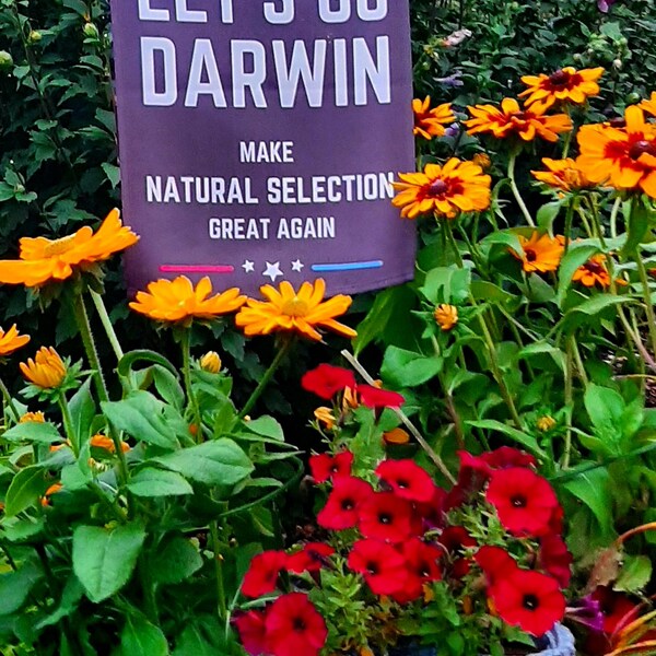 Codon Sticker, Genetics, DNA Sequencing, Water Bottle Stickers, Laptop ...