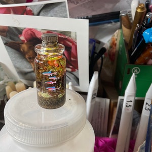 Clownfish Luminous Tiny Dollhouse Fishtank Resin Jar With LED Light ...