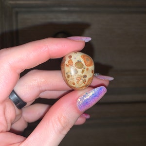 Leopardite Jasper Crystal Tumbled Stone Polished Stone Gemstone ...