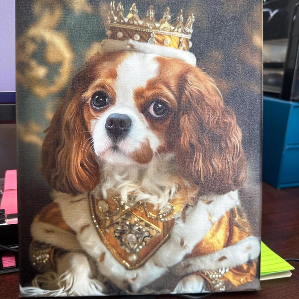 Custom Costume Portrait From Photo Yorkie King, Royal Dog Pet in Rococo ...