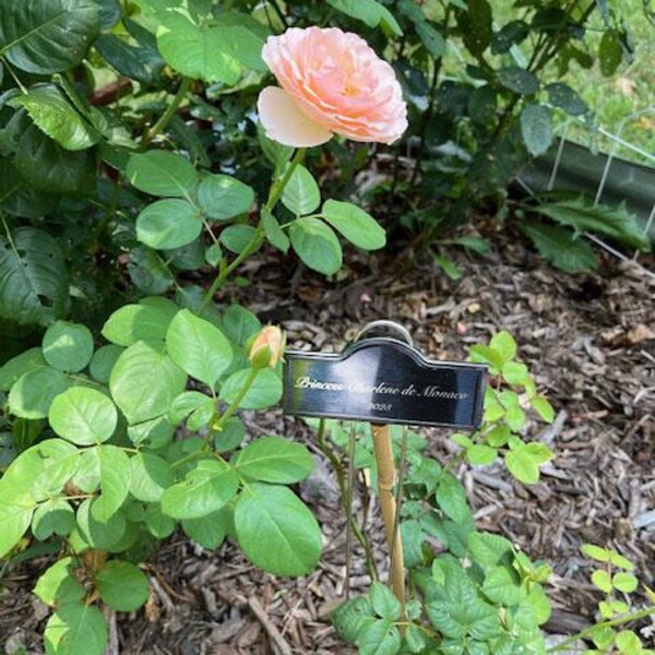 Personalized Pen Stylus Engraved Pen Custom Pens Bulk Corporate Gift ...