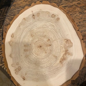 Aspen Wood Slices Wood Rounds Wood Slabs 9 10 - Etsy