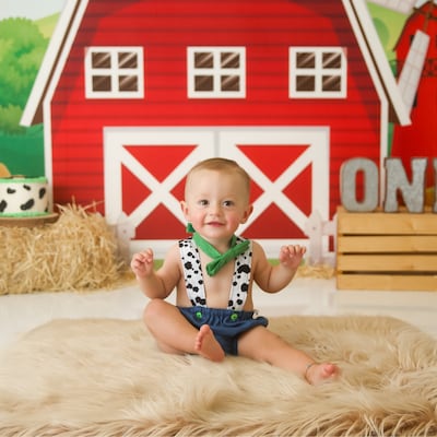 On the Farm Baby Boys Birthday Smash Cake Outfit Baby Boys Farm 1st ...