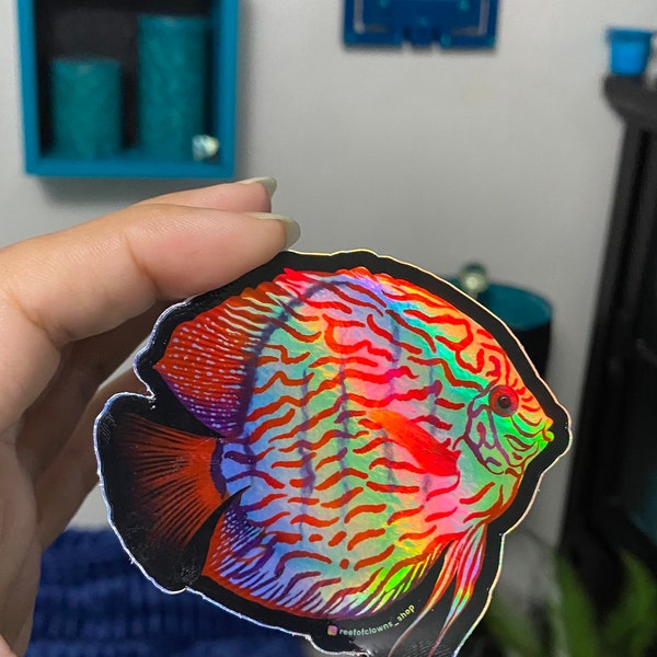 Sunshine Pleco Sticker (holographic) | Fish Art Sticker | Aquarium Art ...