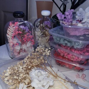 White Ruscus Branches Premium Bleached Italian Ruscus Dried - Etsy