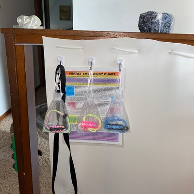 Ferret Emergency Chart and Health Medical Kit List Laminated Quick ...