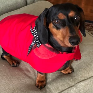 Preppy Pink Small Dog Ruffle Harness Made in USA Dog | Etsy