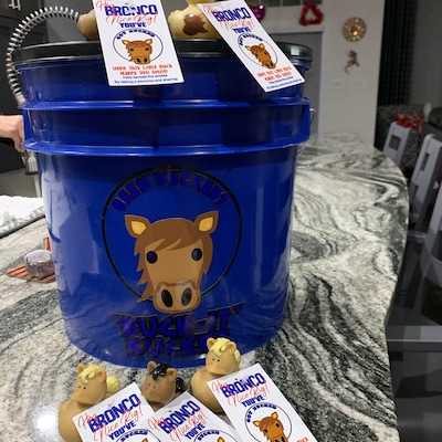 The BLUE duck-it Bucket-includes 30 Pre-tagged Ducks - Etsy