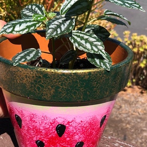 Hand Painted Terra Cotta Watermelon Pot and Matching Saucer - Etsy