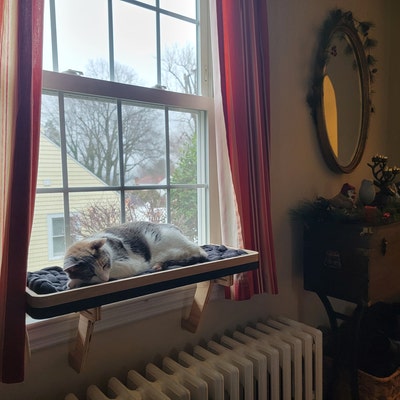 28x10 Two Cats No Problem_cat Window Perch_sturdy-safe Support Legs ...