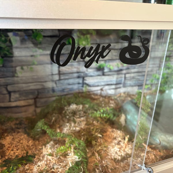 Bearded Dragon Candy Corn Costume Sweater, Halloween Lizard Sweater ...