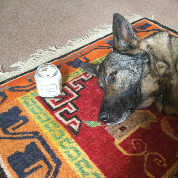 Crisp Apple Reed Diffuser - Etsy