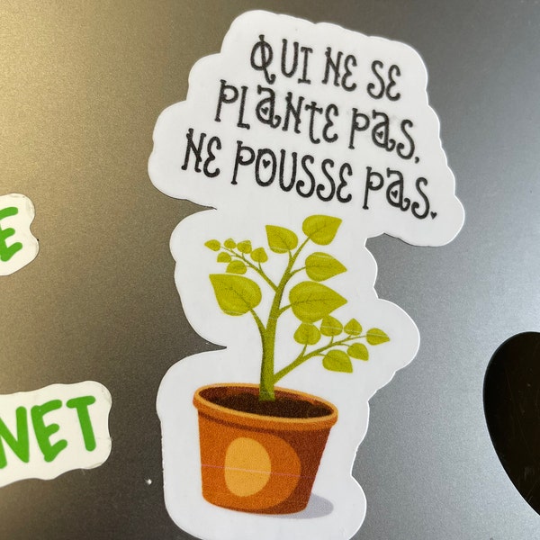 Collant, French Sticker, Pun, Funny - Etsy