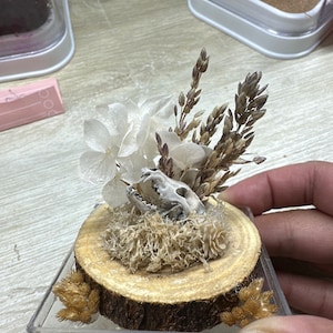 Human Skeleton HO Scale 1:87 Miniature for Horror Diorama, Dollhouse ...