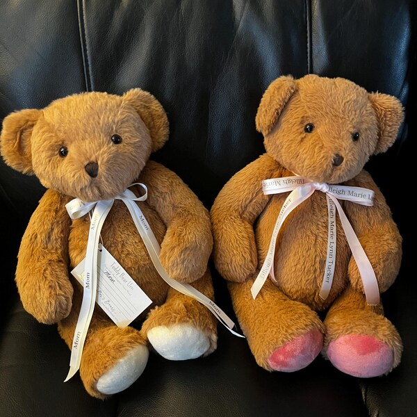 Teddy Bear Urn Custom Ribbon - Urns for Human Ashes - Huggable Urn ...