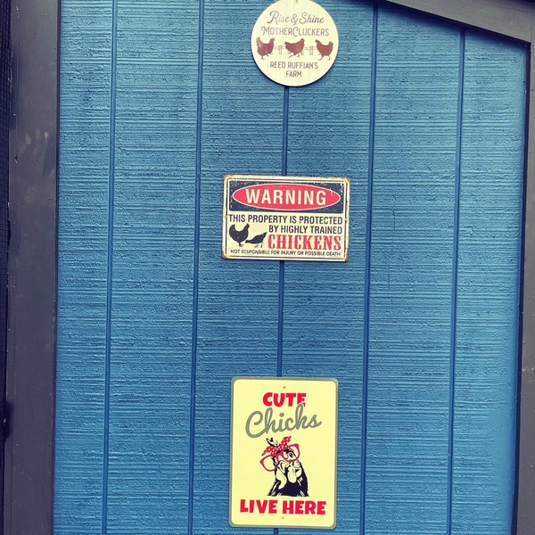 Cute Chicks Sign, Sign for Chicks, Farmers Coop, Chicken Home, Chick ...