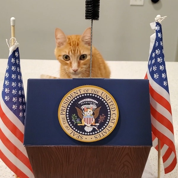 Phone Booth Cat Scratcher | Cute Cat Scratcher With Sturdy Cardboard ...