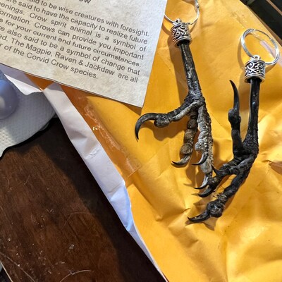 Real Crow Feet/talon Claw Earrings Bird Feet Animal Bone Jewelry E390 ...
