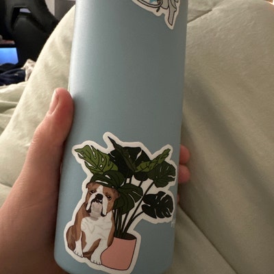 Jindo Monstera Vinyl Sticker Jindo Sticker Monstera Sticker Plant ...