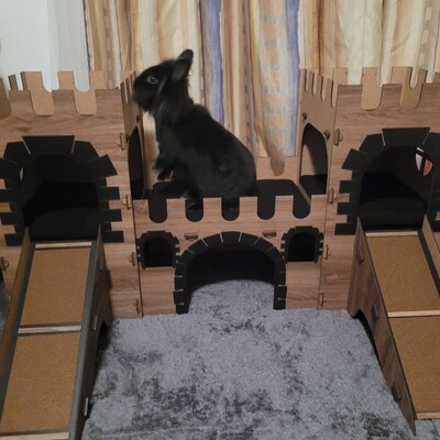 Bunny Castle With Twin Closed Towers, Oak Black Rabbit Palace With Two ...