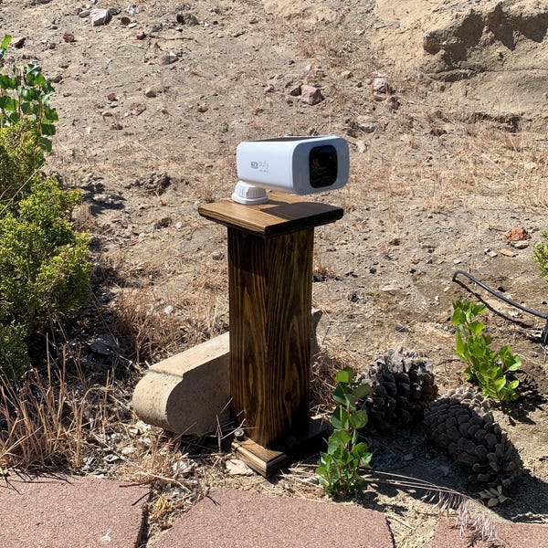 Wood Pedestal Risers, Small Plant Risers, Walnut Stained Risers , Black ...