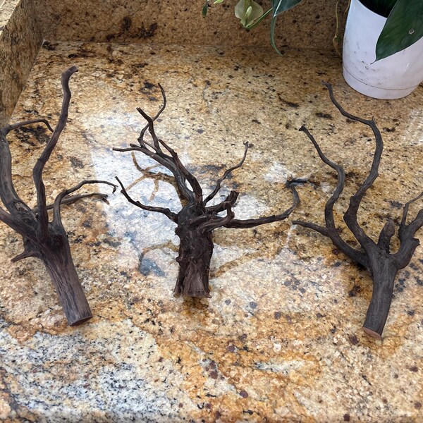 Root Twigs - Etsy