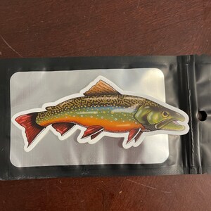 Native Trout in the United States Digital Art Print 8x10 - Etsy