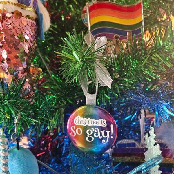 DIGITAL FILE: Printable Extended Pride Flag Reference Guide - Includes ...