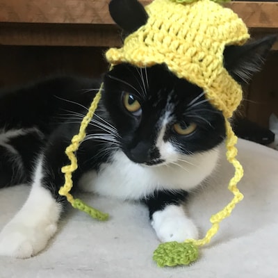 Crochet Lemon Hat for Cats - Etsy UK