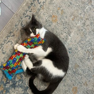 CATS MEOW Catnip Pillows Set of 2 Catnip Toys With Organic - Etsy